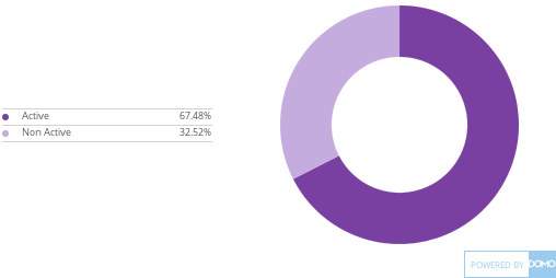 Active vs Non Active Customer